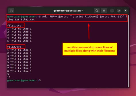 How To Count Lines In File Linux 8 Simple Methods