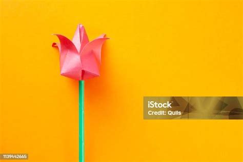 오렌지 바탕에 분홍색 종이 튤립 3 월 8 일 여자의 날 개념입니다 카피 스페이스 수 제 종이 접기 튤립 0명에 대한 스톡 사진 및 기타 이미지 Istock