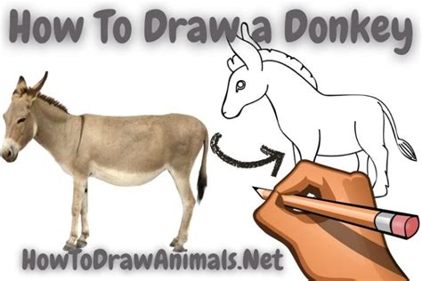 How To Draw A Mule Fun And Easy Drawing Tutorial