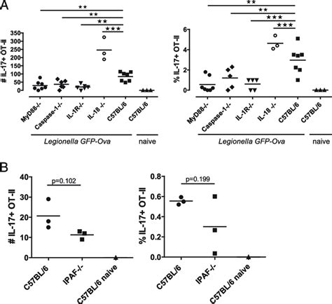 Il 1 And The Ipaf Inflammasome Promote Th17 Development In Vivo A Download Scientific Diagram