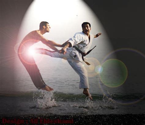 Fereidoon Maleki فریدون مالکی