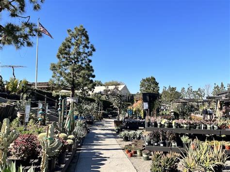 Rogers Gardens In Newport Beach Ca What To Expect 2024 — Orange