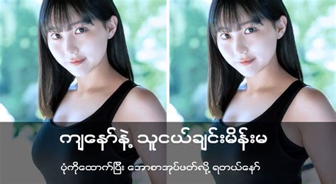 ကျွန်တော်နှင့် သူငယ်ချင်း မိန်းမ ဖောင်းဒိုင်းစာအုပ် အပြာစာအုပ် အောစာအုပ်များ