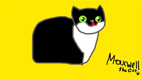 Maxwell The Cat By Nikakitty1702 On Deviantart