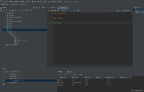 Datagrip 安装 与 连接mysql数据库datagrip连接数据库 Csdn博客