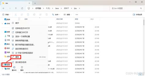 （2025年）初学java——安装jdkjdk下载需要oracle账号 Csdn博客