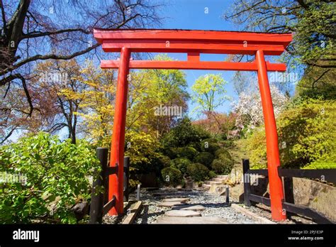 Torii Gate In Red Color And Japanese Garden Behind In Kaiserslautern
