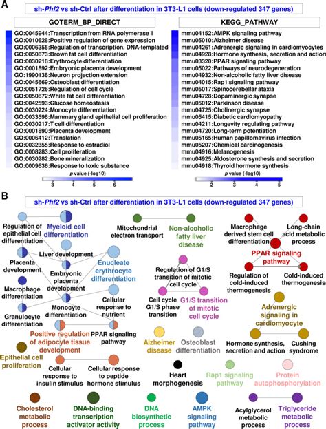 Comprehensive Understanding Of Context Specific Functions Of Phf2 In Lipid Metabolic Tissues Pmc