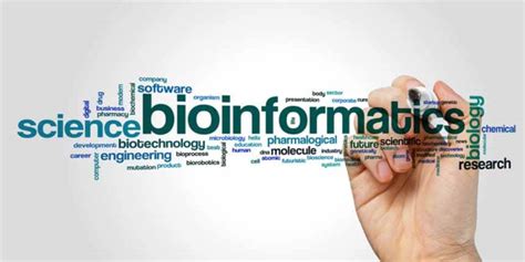 10 Best Jobs In Bioinformatics In India