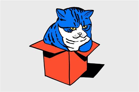 Функция Bin в Python полное руководство с примерами использования — журнал «Код