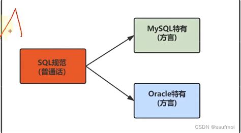 Mysql基本的select语句仅支持select语句 Csdn博客