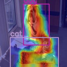 Tutorial Class Activation Maps For Object Detection With Faster Rcnn Advanced Ai