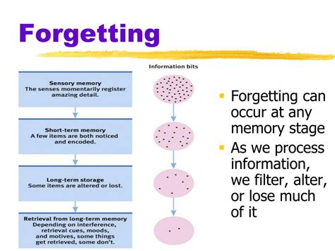 Ppt Forgetting Powerpoint Presentation Free Download Id 3010891
