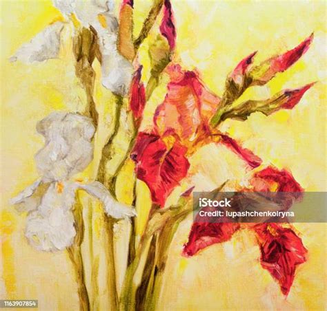 유행 봄 일러스트 비유 꽃 현대 미술 인상주의 내 원래 유화 캔버스 인상주의 수평 비유 상징적 인 삶은 흰색과 빨간색 창포를 꽃 추상적인에 대한 스톡 벡터 아트 및 기타