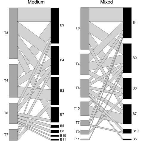 Seed Dispersal Networks For High Medium Mixed And Low Cost Download Scientific Diagram