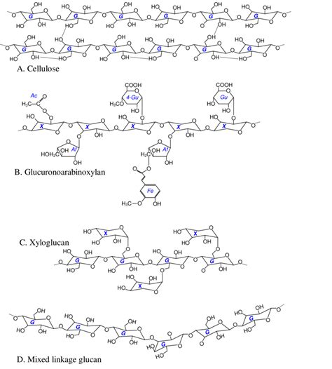 Type Of Linkage In Cellulose At Sandra Karcher Blog
