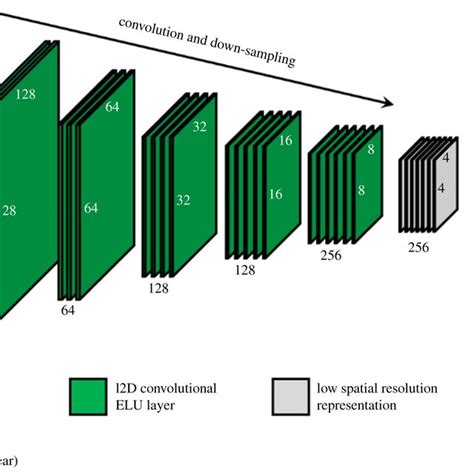 Neural Network Architecture Layers Of Convolutional Elu Filters Download Scientific Diagram