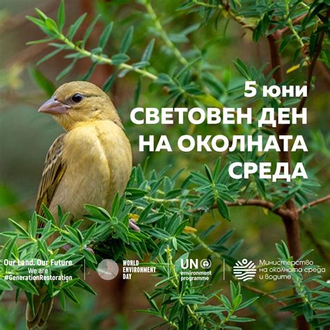 Отбелязваме Световния ден на околната среда 5 юни с над 60 разнообразни инициативи в цялата
