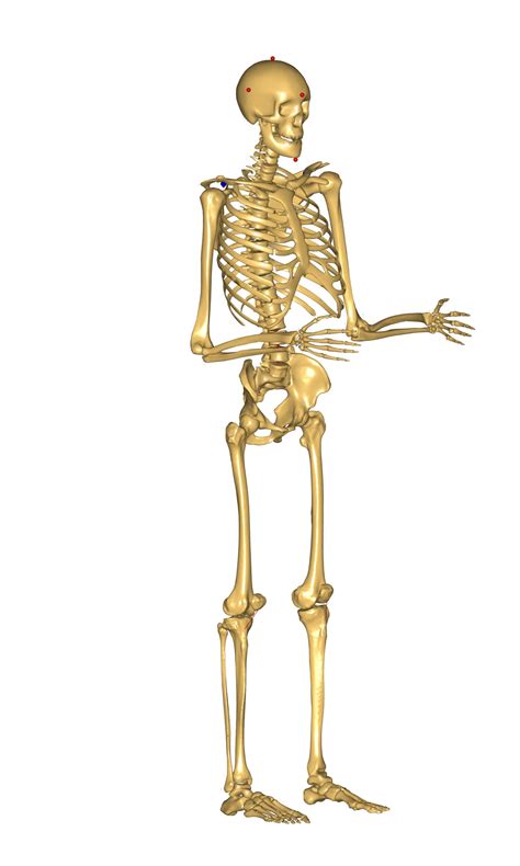 Lesson 3 Scaling Using Segmental Scaling Vectors — Ammr V314 Documentation