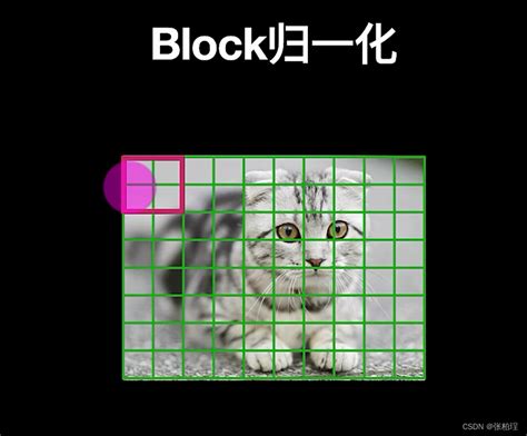 【毛笔书体检测与识别 实战：毛笔书体识别（hogsvm）】python计算机视觉0基础到进阶毛笔字识别代码 Csdn博客