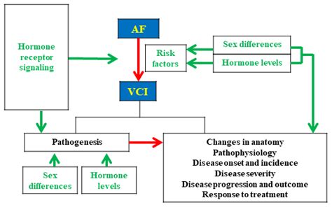 Ijms Free Full Text Revealing The Influences Of Sex Hormones And
