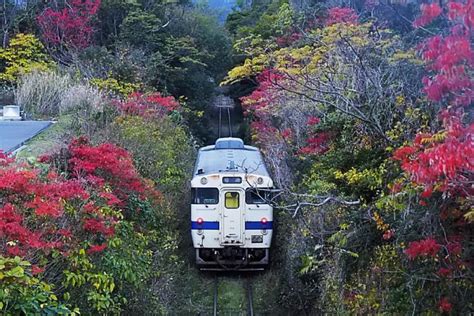 鉄道事業のご案内JR指宿枕崎線の貸切イベント列車 中原水産 鹿児島県枕崎市