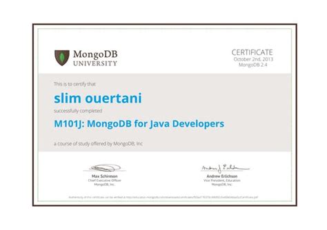 Mongodb Java Pdf