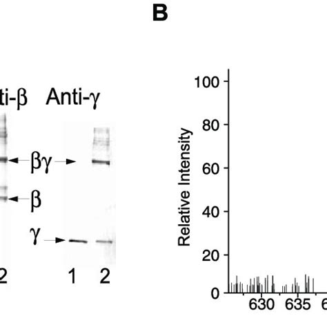Pdf Crosssearch A User Friendly Search Engine For Detecting Chemically Cross Linked Peptides