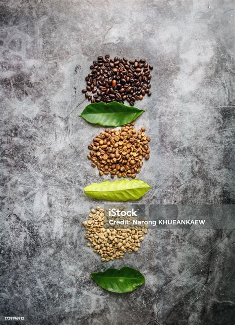 3가지 유형의 볶지 않은 원두와 미디엄 및 다크 로스팅 옵션을 특징으로 하는 커피 원두 콜라주의 평면도는 다양한 고품질 커피를 선보입니다 Robusta Coffee