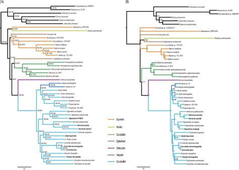 Phylogenetic Trees Inferred From The Super Matrix Constructed By 37