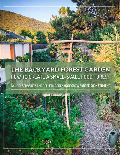 The Backyard Forest Garden By Colleen Codekas And Joel Schwartz Digital
