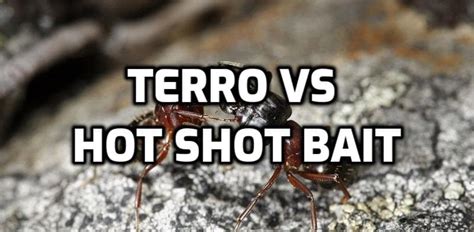 Hot Shot Ant Bait Vs Terro Bait Gel Comparison Table