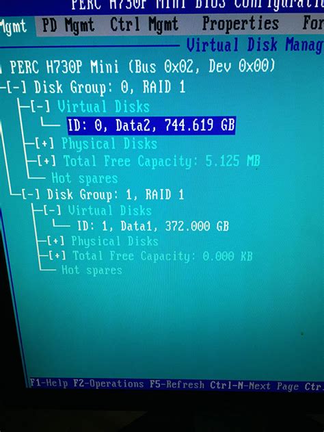 Add New Raid 10 Array To Existing Dell Poweredge R630 Vmware Esxcli Host 55 Server Fault