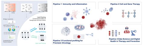 Graphical Abstract Template