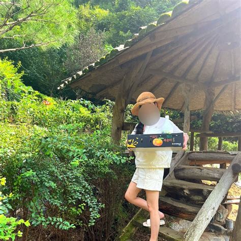 강원도영월 촌캉스 추천 산골초가펜션 제대로 즐기기 And 영월서부시장맛집 네이버 블로그