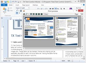 Tx Text Control Net For Windows Forms Visual Studio Marketplace