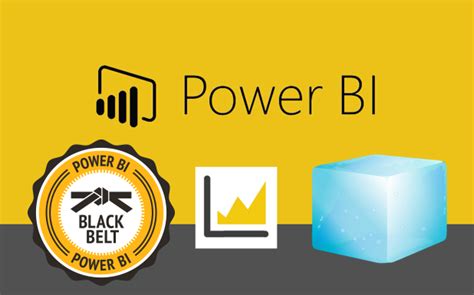 Analyzing Data With Excel Software Solutions Corporation