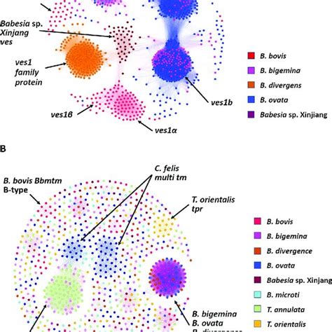 Homology Clustering Based On Sequence Similarities Of Ves And