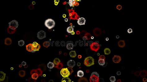 Colorful Dust Particles Motion Graphics With Night Background Stock