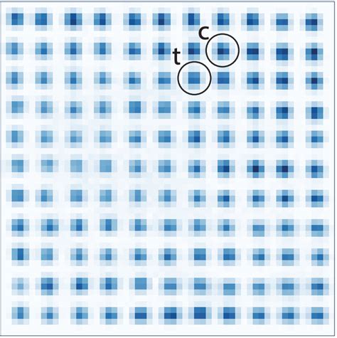 Progress In Neutral Atom Quantum Computing With A D Array Of Qubits Wisconsin Quantum