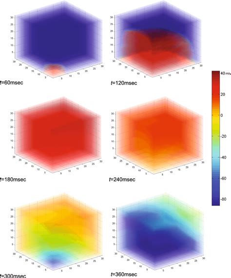 Excitation Propagation In A Cardiac Tissue With Download Scientific Diagram