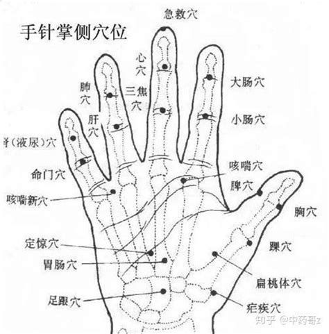 脑梗心梗抢救穴位：心点穴 知乎