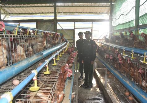 ဒေသတွင်းစိုက်ပျိုး၊ မွေးမြူရေးနှင့် ကုန်ထုတ်လုပ်ငန်းများ ရာနှုန်းပြည့် ဆောင်ရွက်နိုင်ရေးအတွက