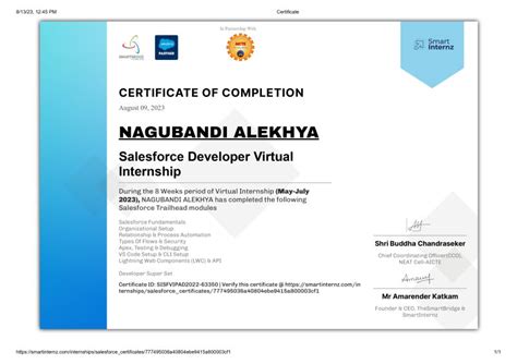 Alekhya Nagubandi On Linkedin Smartinternz Salesforce Skilledonsalesforce Thesmartbridge