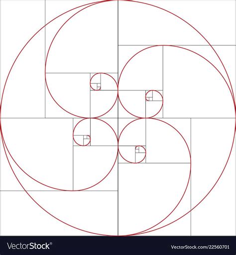Fibonacci Spiral Explained Detroitder