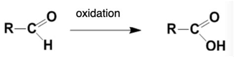 Topic 17b Testing For Aldehydes And Ketones Flashcards Quizlet