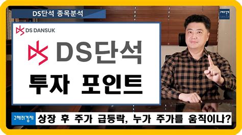 종목분석 Ds단석 주가전망 무엇이 주가 방향을 결정할까 투자 포인트는 Youtube