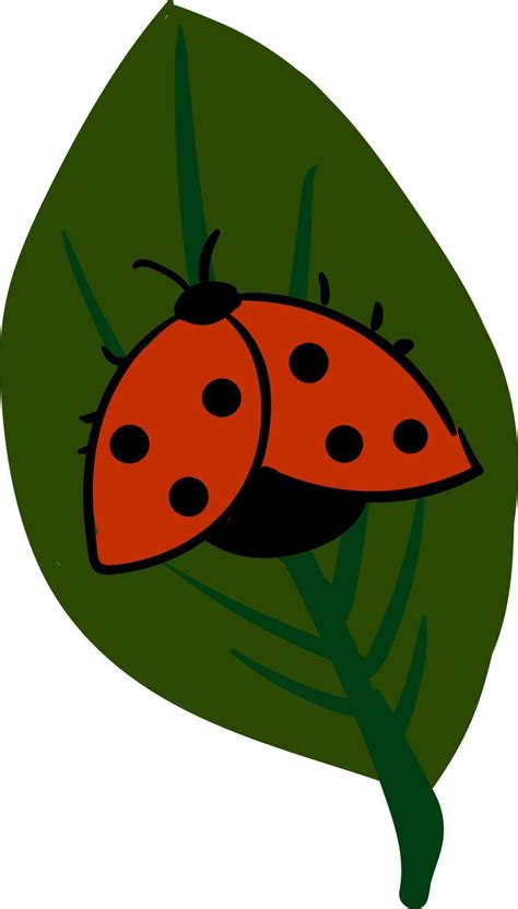 Mariquita En Una Hoja Ilustración Vector Sobre Fondo Blanco 13684084 Vector En Vecteezy