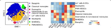 Identification Of Mdscs By Flow Cytometry And Unsupervised Clustering Download Scientific