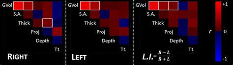 Upper Triangular Of The Correlation Matrix For The Six Measurements Of Download Scientific